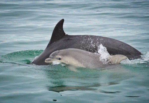 Days Out In Tenby, Day Trips You Can Enjoy While Stopping In Tenby